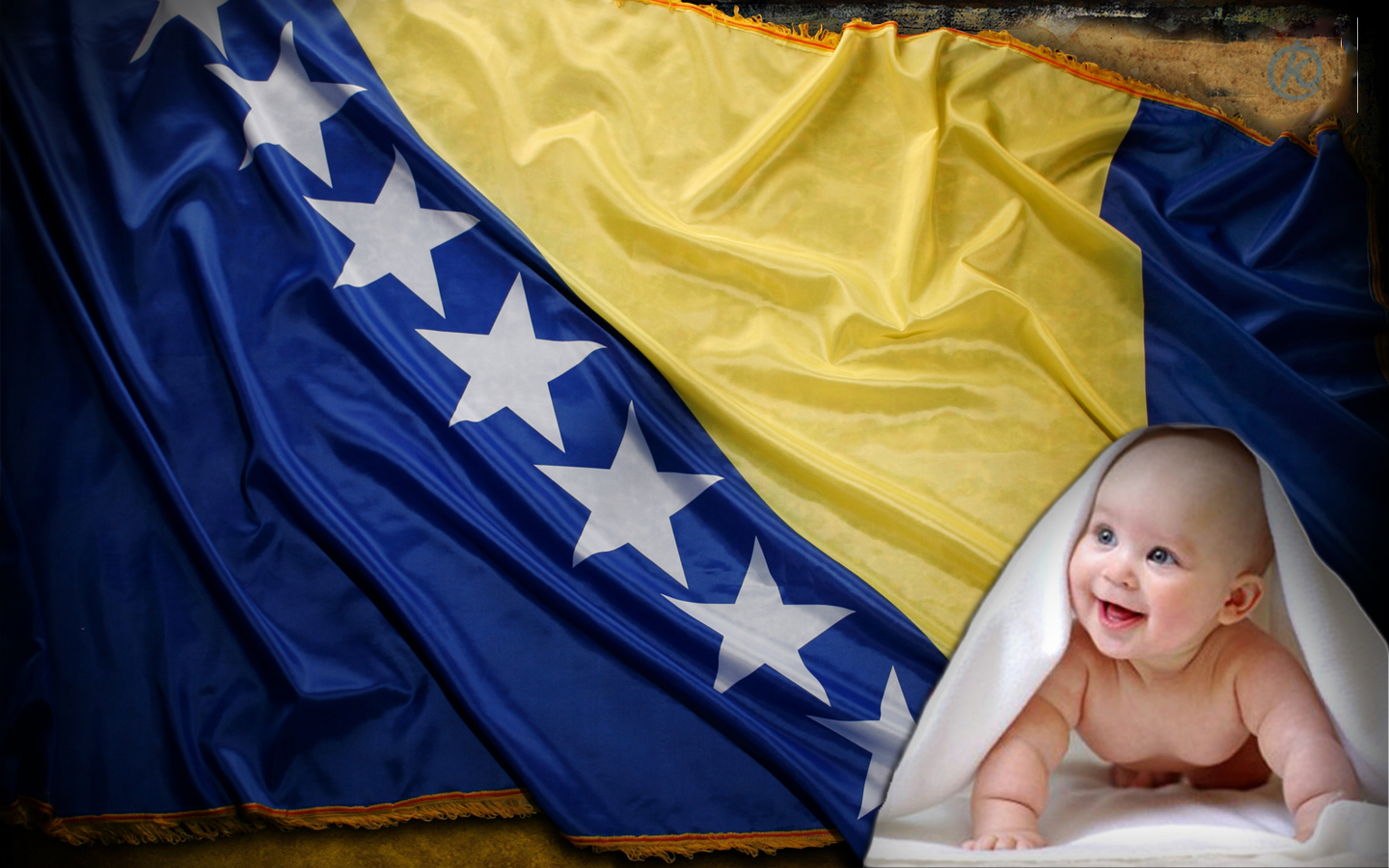 “Bijela kuga” poharala BiH: BiH je zemlja s najvećim smanjenjem ...